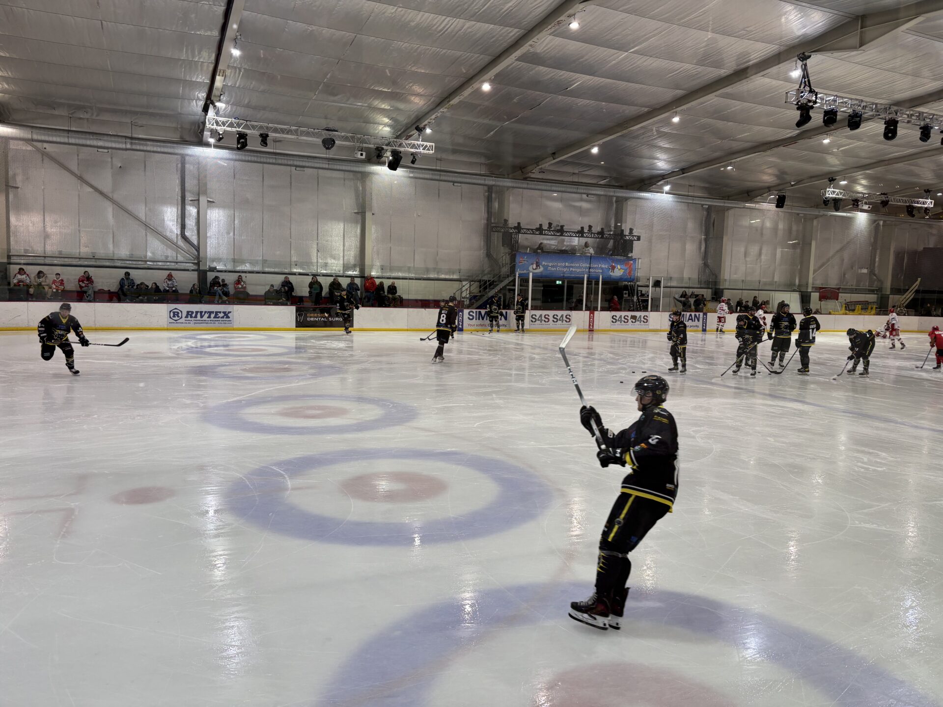 Widnes Wild fail to overcome Deeside Dragons in National Ice Hockey ...